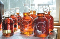 Maple Syruping – Lehigh Valley Family